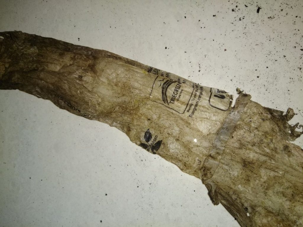 Alternatives for Plastic bags in Mumbai | Green Communities Foundation